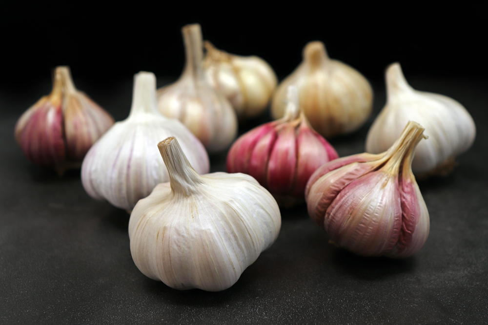 Te Mata Garlic | NZ Gourmet Garlic Bulbs, Seed & More – Te Mata Garlic ...