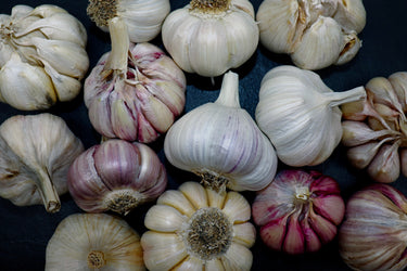 Te Mata Garlic | NZ Gourmet Garlic Bulbs, Seed & More – Te Mata Garlic ...