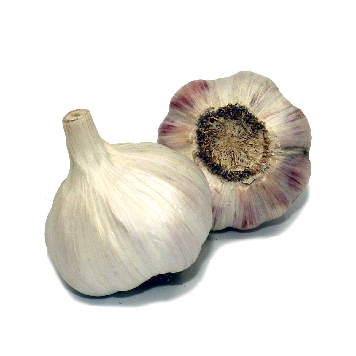 All – Te Mata Garlic Limited
