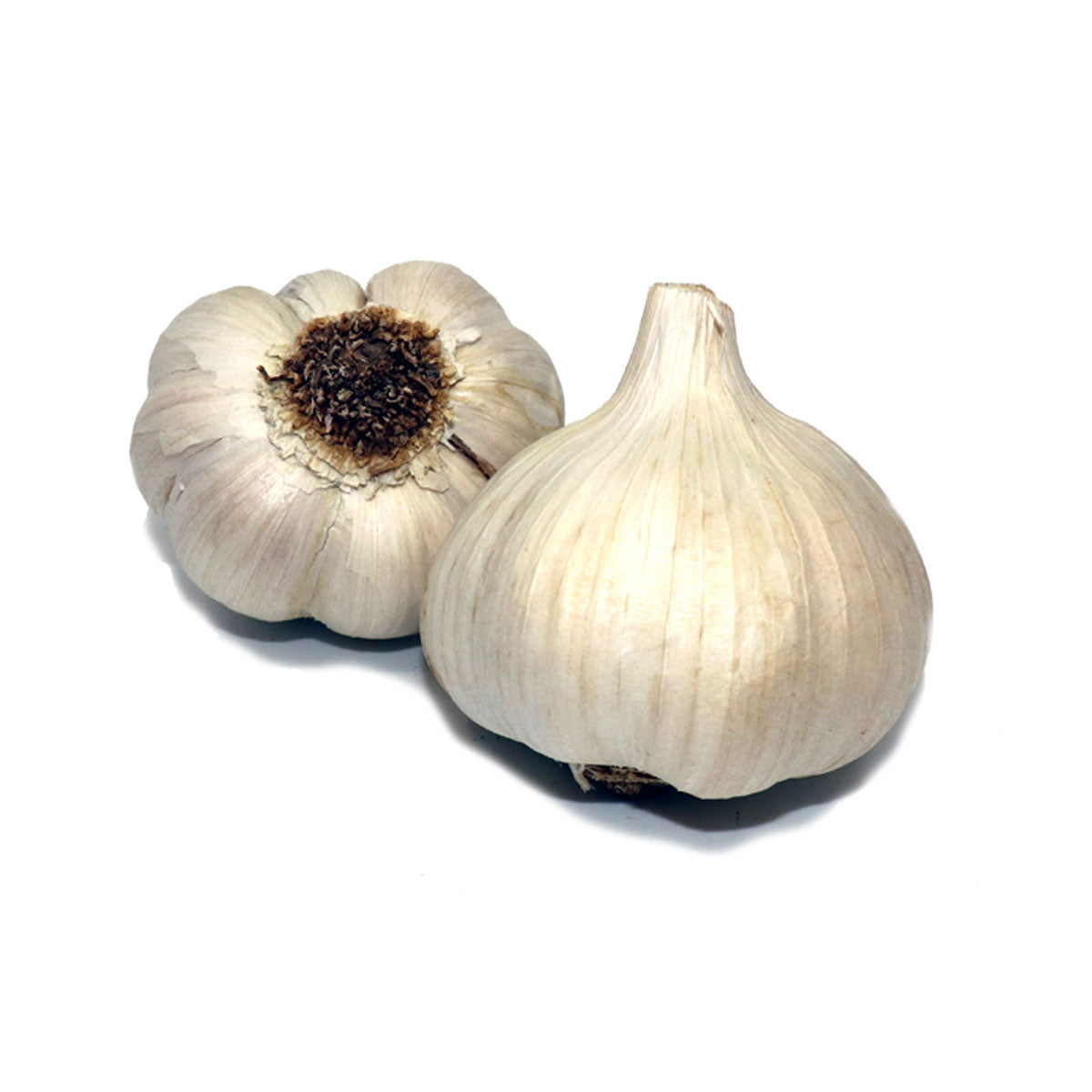 Te Mata Garlic | NZ Gourmet Garlic Bulbs, Seed & More – Te Mata Garlic ...